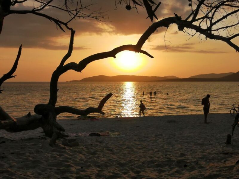 Alghero: walking tours around the ancient city - Who Will Love This Tour  