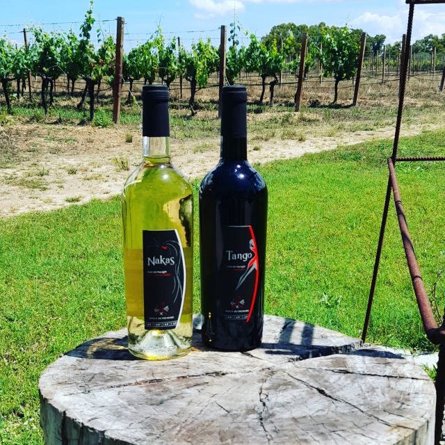 Alghero: wine tasting w/ local aperitif in the vineyard - FAQ
