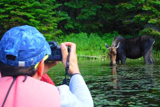 Algonquin Park 3-Day Deluxe Camping & Canoeing Adventure - What We Loved About the Tour
