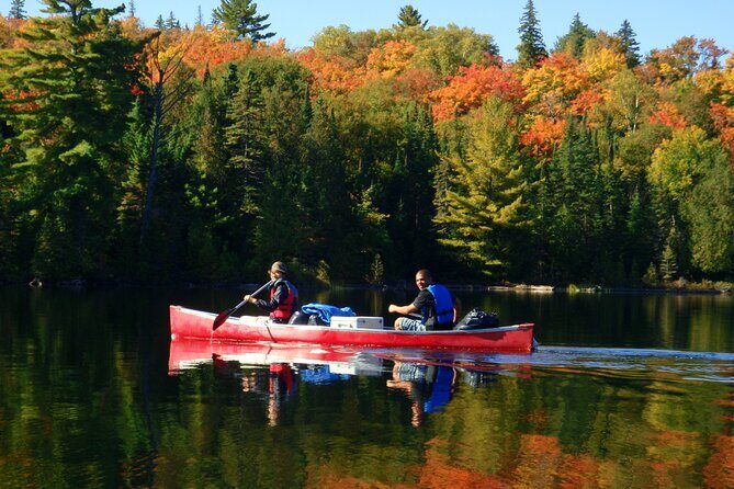 Algonquin Park 4-Day Deluxe Camping & Canoeing Adventure - What’s Included & What to Consider