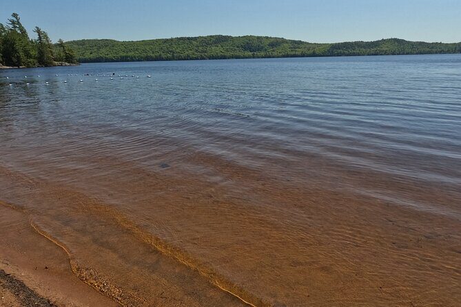 Algonquin Provincial Park Full Day Trip - A Closer Look at the Itinerary