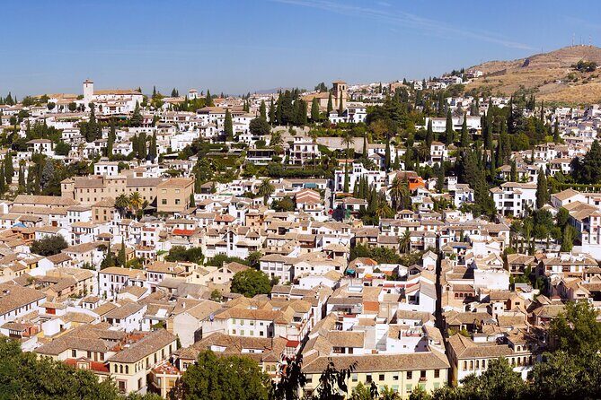 Alhambra and Albaicin Private Day Trip from Malaga - Who Would Love This Tour?  