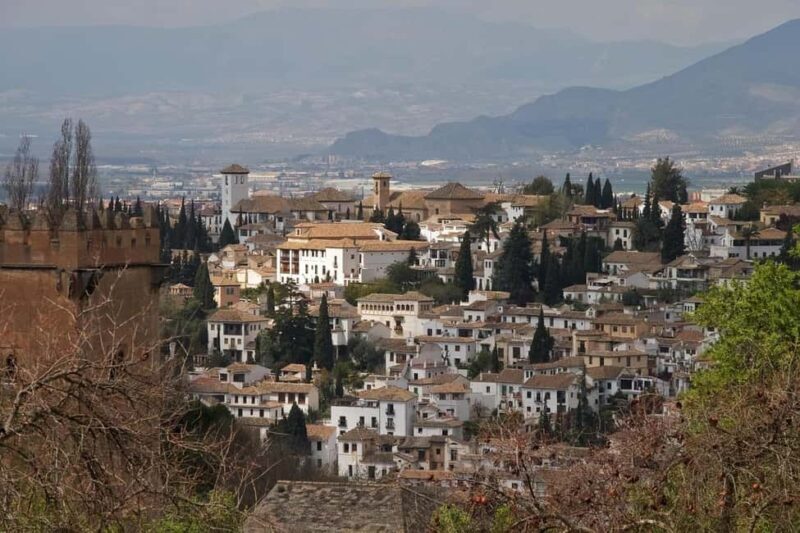 Alhambra: complete private tour with official tour guide and tickets - Practical Tips for Booking