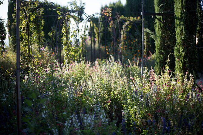 Alhambra Day or Night Private Tour - Practical Tips for Your Tour