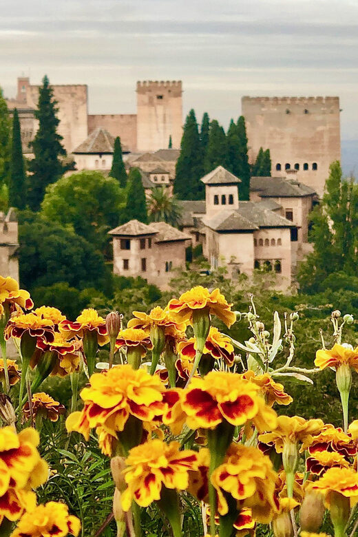 Alhambra: Guided Private Tour with Fast-Track Entry - The Sum Up