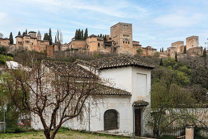 Alhambra in Granada Private Tour - FAQs