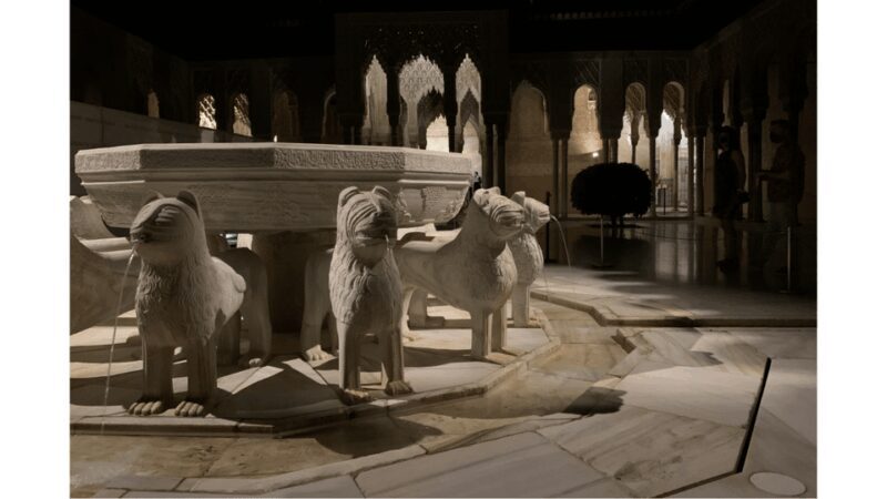 Alhambra: Nasrid Palaces Guided Night Tour without tickets - What You Can Expect: A Step-by-Step Overview