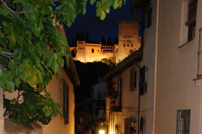 Alhambra: Night Visit to Nasrid Palaces - Final Words