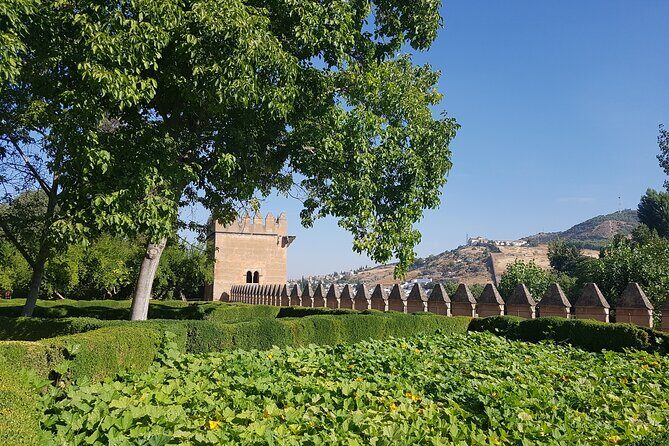 Alhambra Official Private Guide (if you have your entrance to the alhambra) - The Practical Side: Price, Duration, and Value