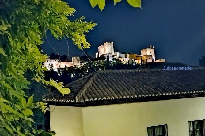 Alhambra Private Tour: Nasrid Palaces and Generalife - Final Thoughts