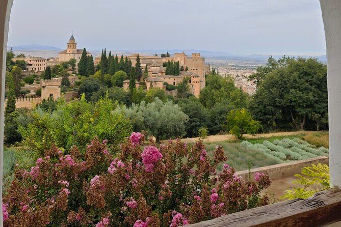 Alhambra Private Tour with Tickets to the Nasrid Palaces - In-Depth Look at the Itinerary