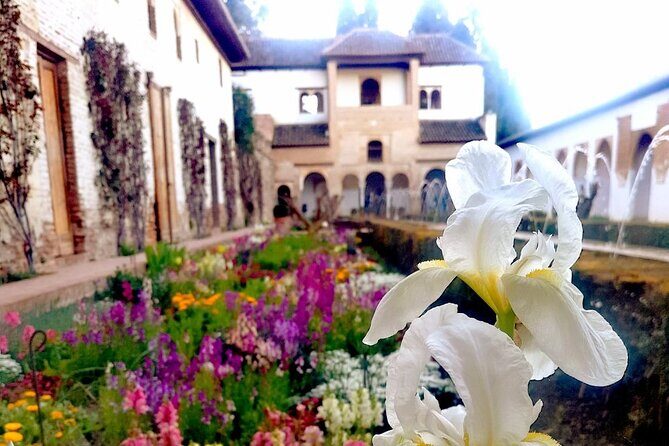 Alhambra Private Tour with Tickets to the Nasrid Palaces - Final Thoughts: Why This Tour Is a Solid Choice