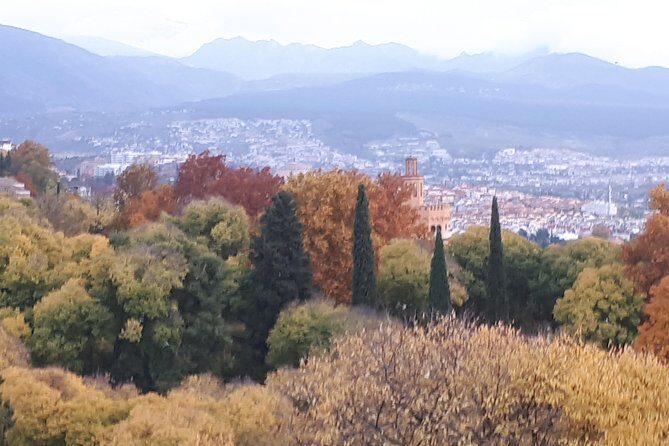 Alhambra Tour :Generalife Gardens ,Palaces and towers.Skiptheline - An In-Depth Look at the Alhambra Tour Experience