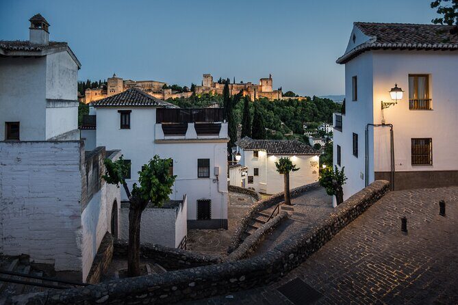 Alhambra with Nazaries Palaces Private Tour - The Practicalities: What the Tour Means for You