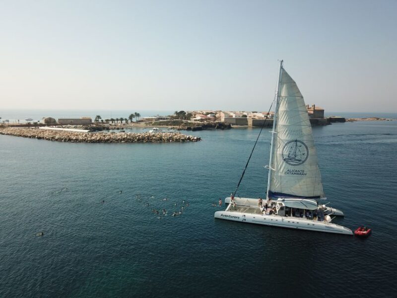 Alicante: 6-Hour Catamaran Cruise to Tabarca Island - Authentic Experience and Review Highlights