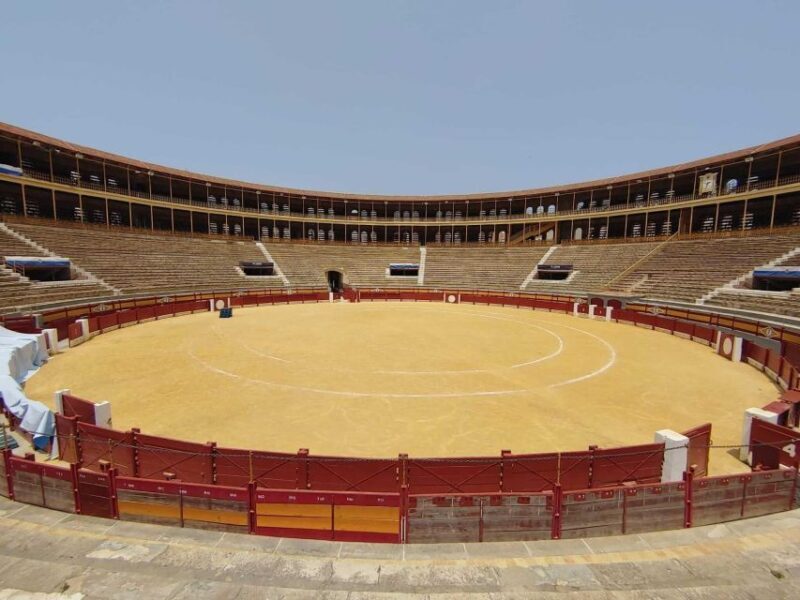 Alicante: Bullring and Bullfighting Museum Entry Ticket - A Closer Look at the Experience