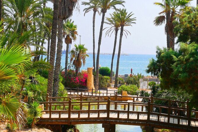 Alicante: Calas & Beaches Snorkeling with E - Bikes - Who Should Consider This Tour?