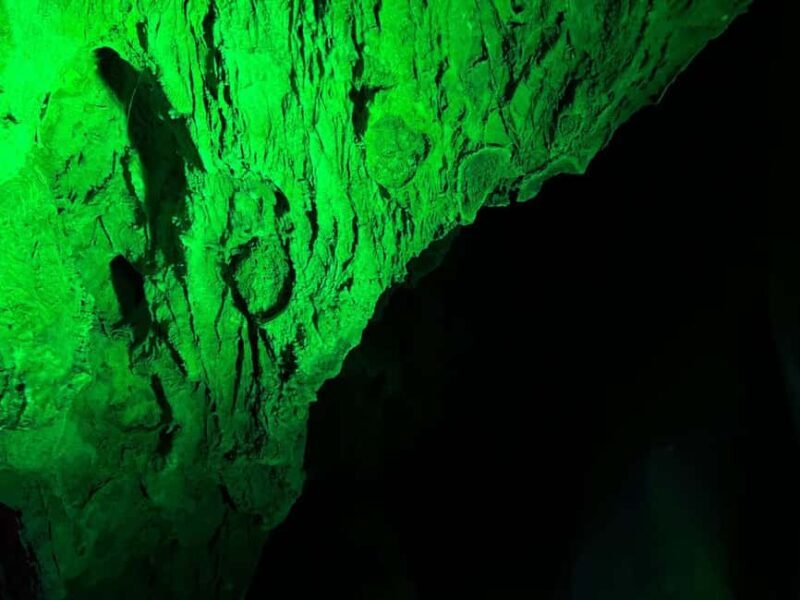 Alicante: Canelobre Caves and Busot Tour - What to Expect on the Tour