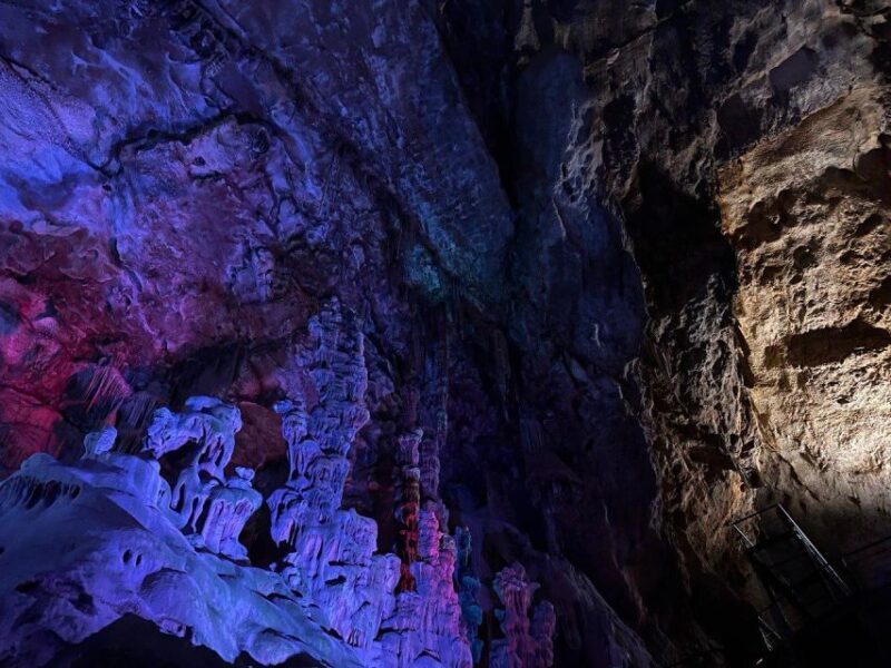Alicante: Canelobre Caves and Busot Tour - Who Should Consider This Tour?