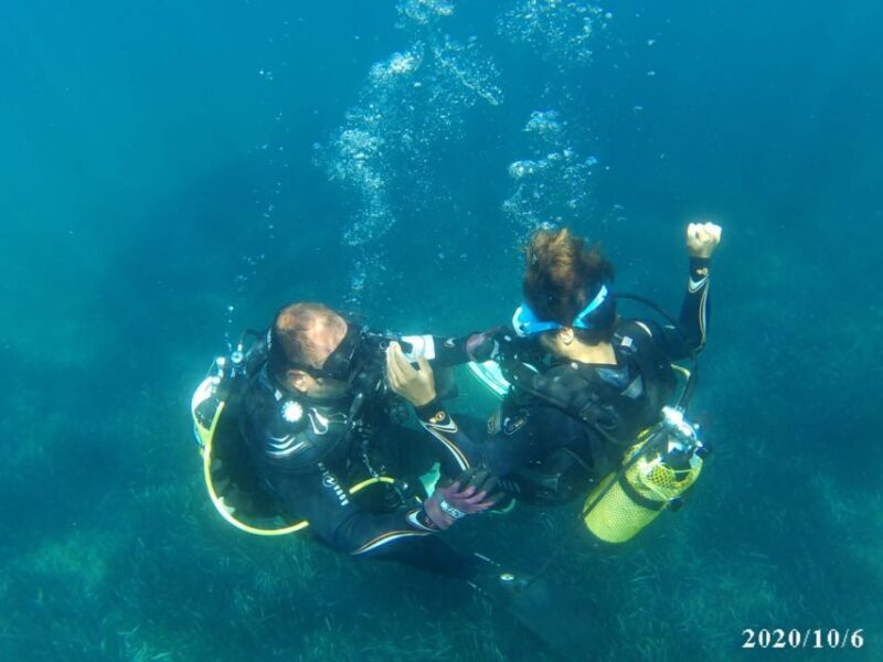 Alicante: Denia Beginners Scuba Diving Experience - Key takeaways