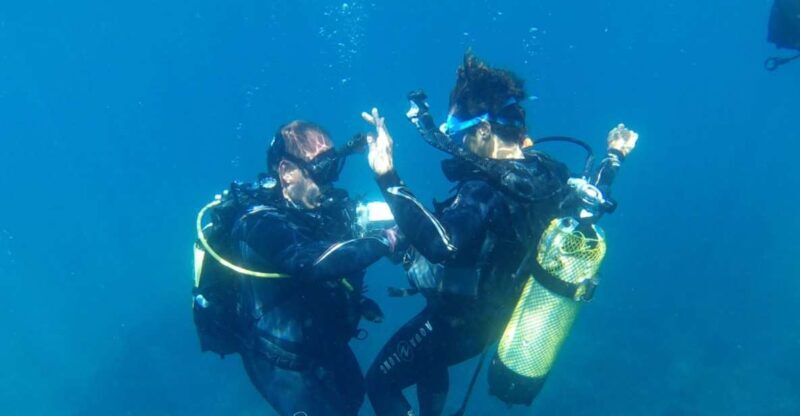 Alicante: Denia Beginners Scuba Diving Experience - What Makes This Experience Stand Out?