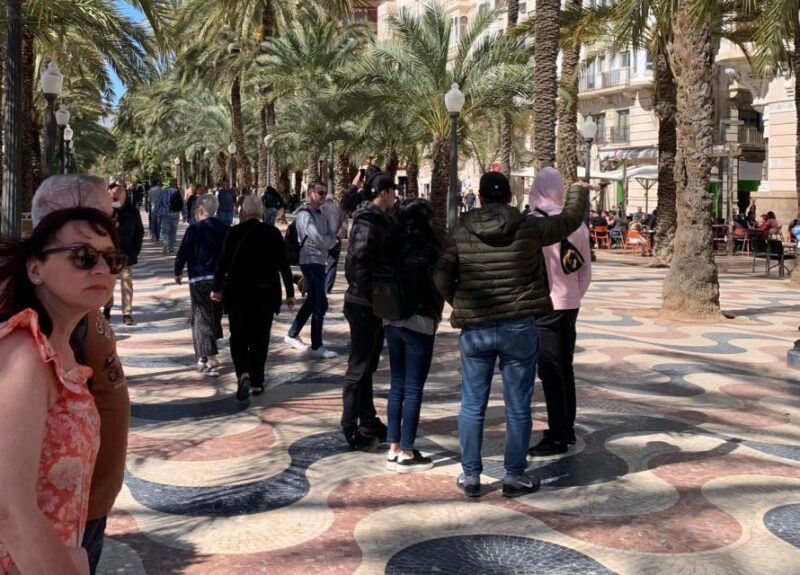 Alicante Discovery Tour - From Albir & Benidorm - Who Will Love This Tour?