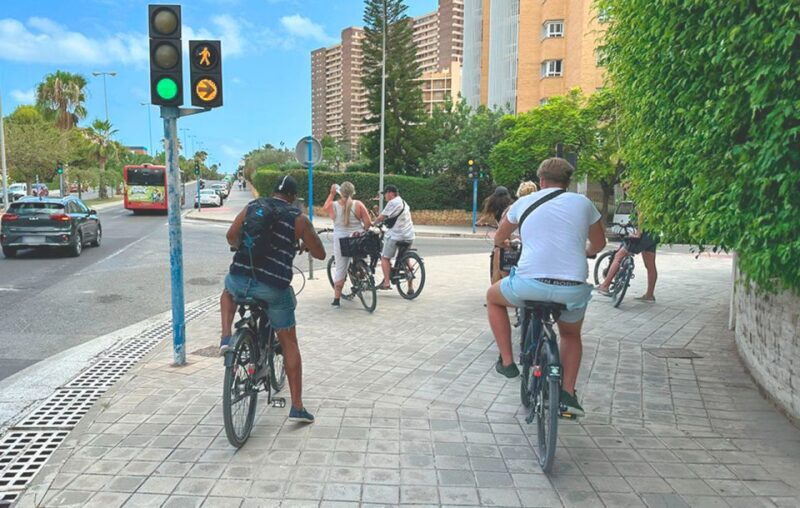 Alicante : E-Bike Coast Tour, Roman Fish Farm and Snorkeling - Who Should Consider This Tour?