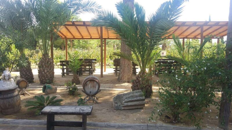 Alicante: Family Winery of Three Generations (4 testings) - Key Points