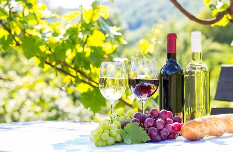 Alicante: Family Winery of Three Generations (4 testings) - An Honest Look at the Winery Tour Experience