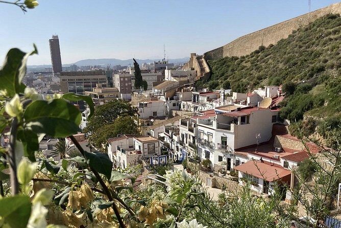Alicante Historic Small Group Tour with Tapas Tasting - Final Words