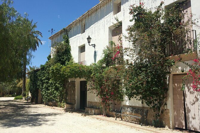 Alicante: Historic Winery (1707), 3 Wine Tasting & Transfer - Exploring the Itinerary: What to Expect