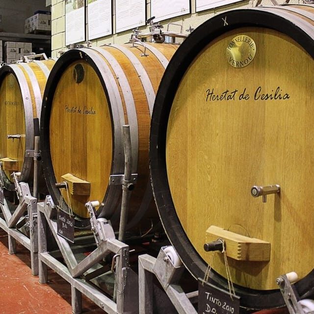 Alicante: Historic Winery Guided Tour + Wine Tasting / Private Transportation - Logistics & Practical Details