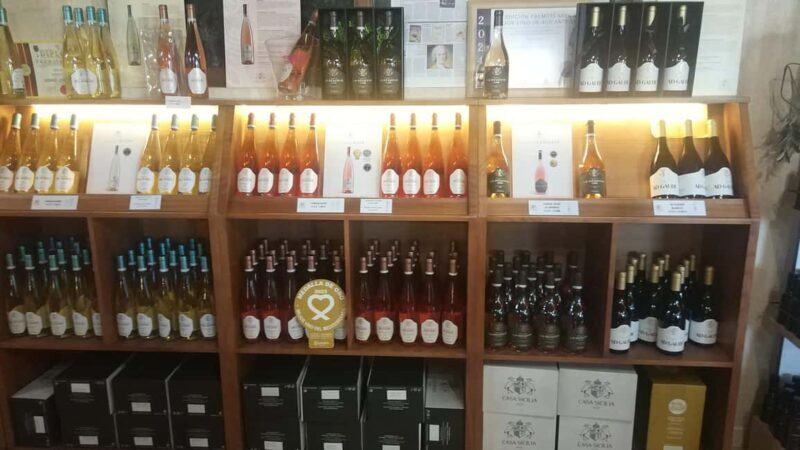 Alicante: Historic Winery Guided Tour + Wine Tasting / Private Transportation - What Reviewers Love Most