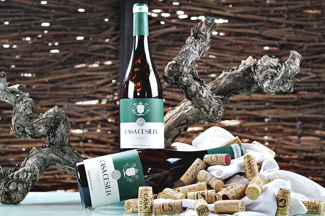 Alicante: Old Winery with Tastings & Gaudí's style of Church - Key Points