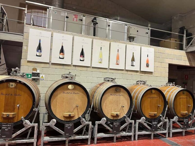 Alicante: Old Winery with Tastings & Gaudí's style of Church - Key Points