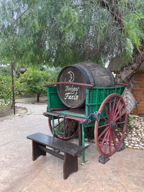 Alicante/Santa Pola -Best winery tour with tasting - Key Points