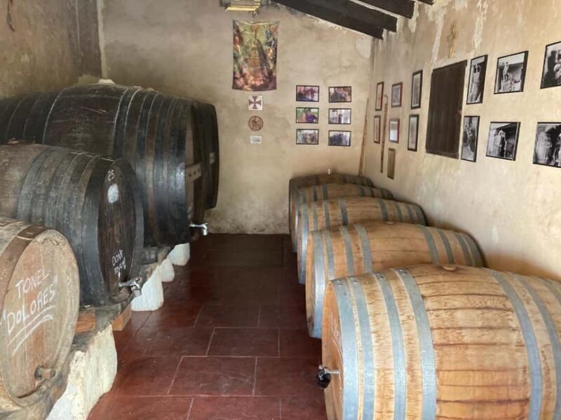 Alicante/Santa Pola -Best winery tour with tasting - Introduction: A Wine Tour Worth Savoring
