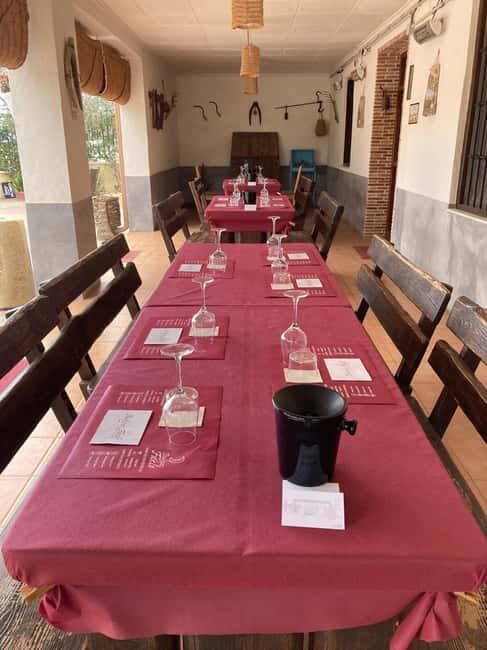 Alicante/Santa Pola -Best winery tour with tasting - Who Will Enjoy This Experience?