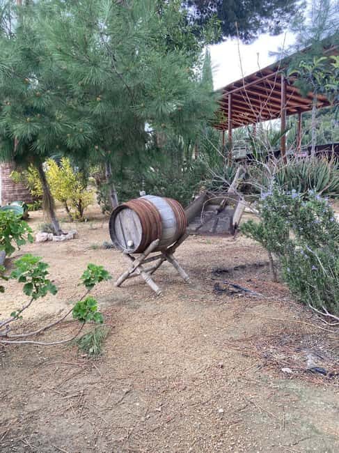 Alicante/Santa Pola -Best winery tour with tasting - Final Thoughts: Is It Worth It?