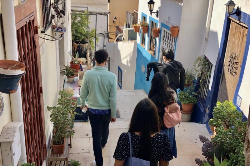 Alicante: Seven Secrets of Alicante Discovery Tour - Final Thoughts  