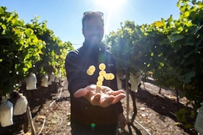 Alicante: Small-Group Countryside Wine Tour with 4 Tastings - Key Points: