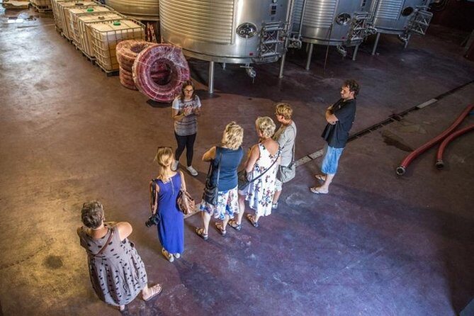 Alicante: Small-Group Countryside Wine Tour with 4 Tastings - An In-Depth Look at the Alicante Countryside Wine Tour
