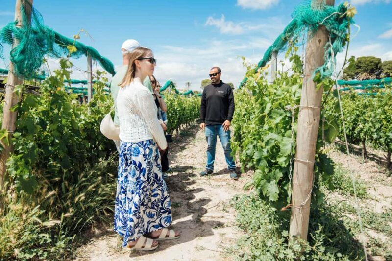 Alicante: Small-Group Countryside Wine Tour with 4 Tastings - Why This Small-Group Wine Tour Stands Out