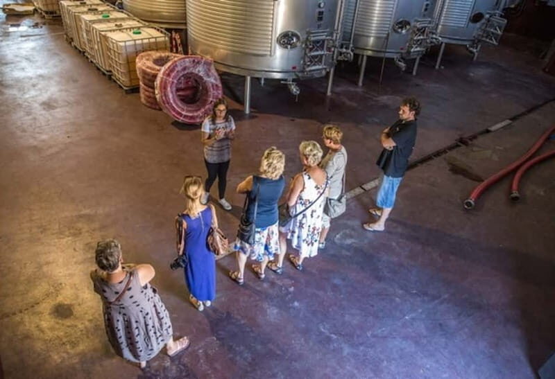 Alicante: Small-Group Countryside Wine Tour with 4 Tastings - FAQ