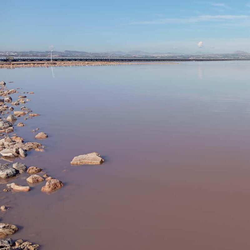 Alicante/Torrevieja: Excursion to Tabarca by ferry, Santa Pola, and Laguna Rosa - FAQ