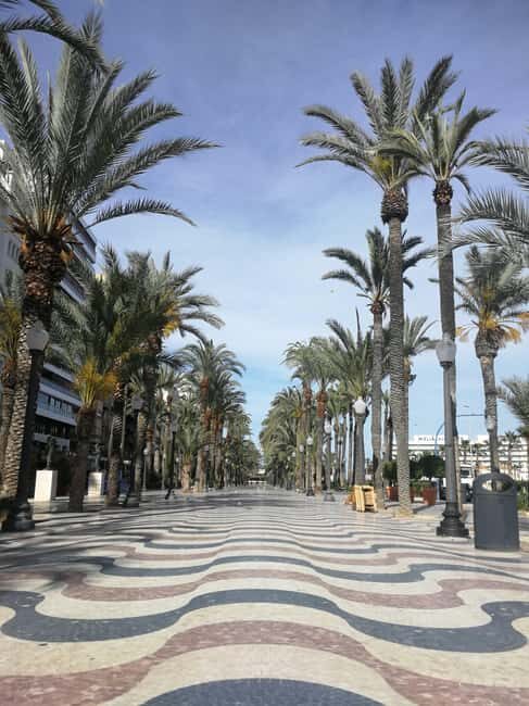 Alicante Walking Tour: Landmarks & Local Life - What Visitors Say