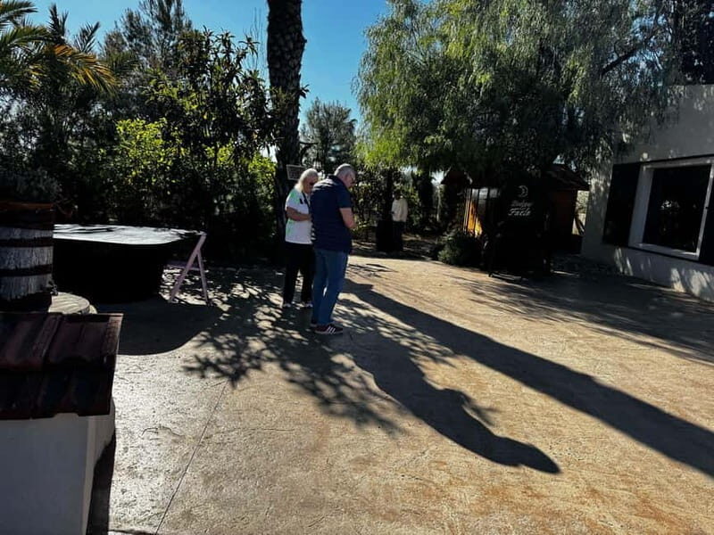 Alicante; Wine Tour, Wineries, Food and Transfer included - Key Points