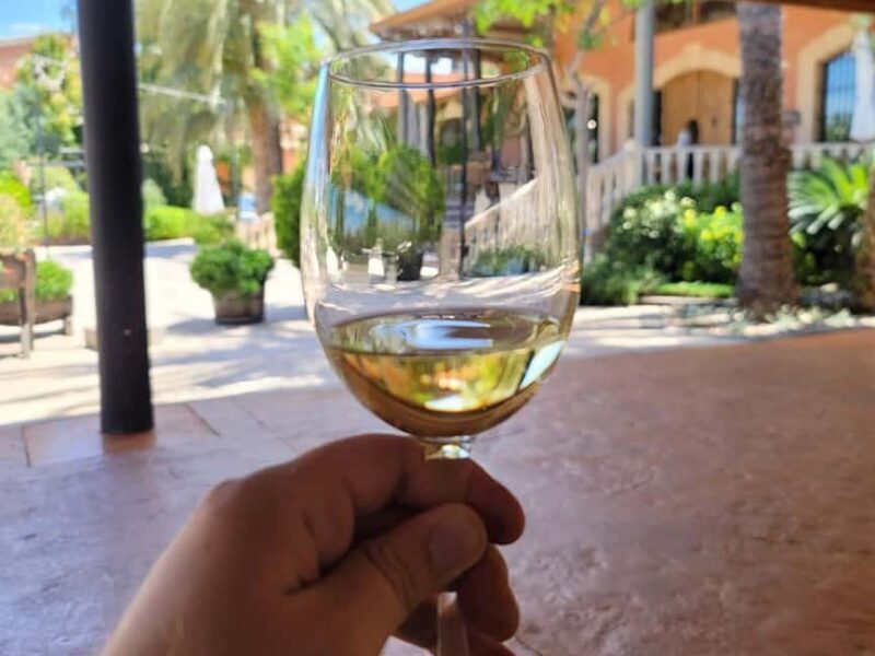 Alicante:Winery Tour+ Wine Tasting + Old castle - What to Expect on the Tour