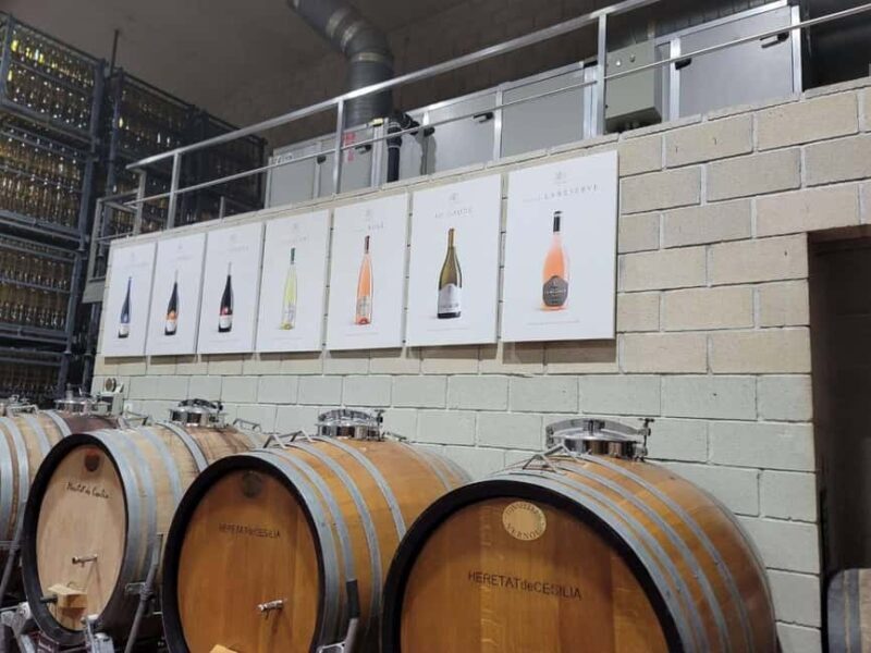 Alicante:Winery Tour+ Wine Tasting + Old castle - Transportation and Practical Details