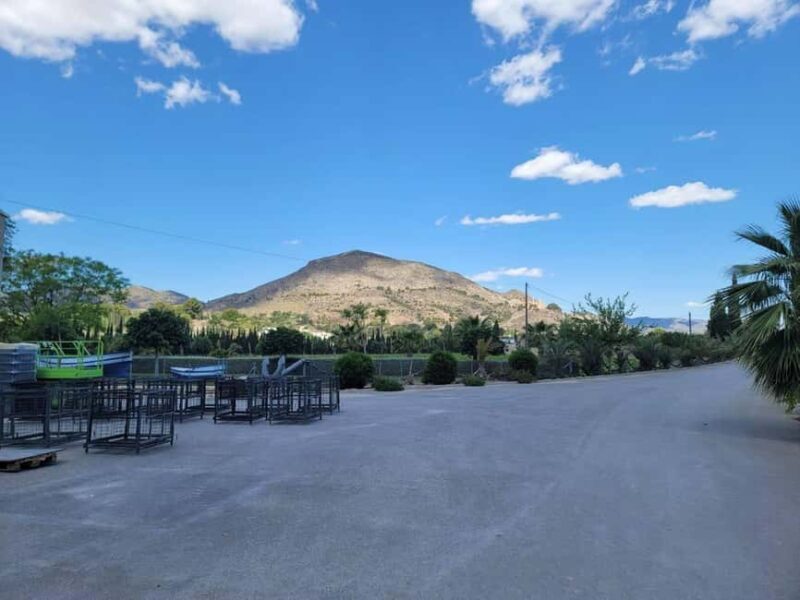 Alicante:Winery Tour+ Wine Tasting + Old castle - What Could Be Better?